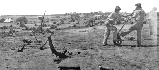 Clearing | Monash & Lone Gum